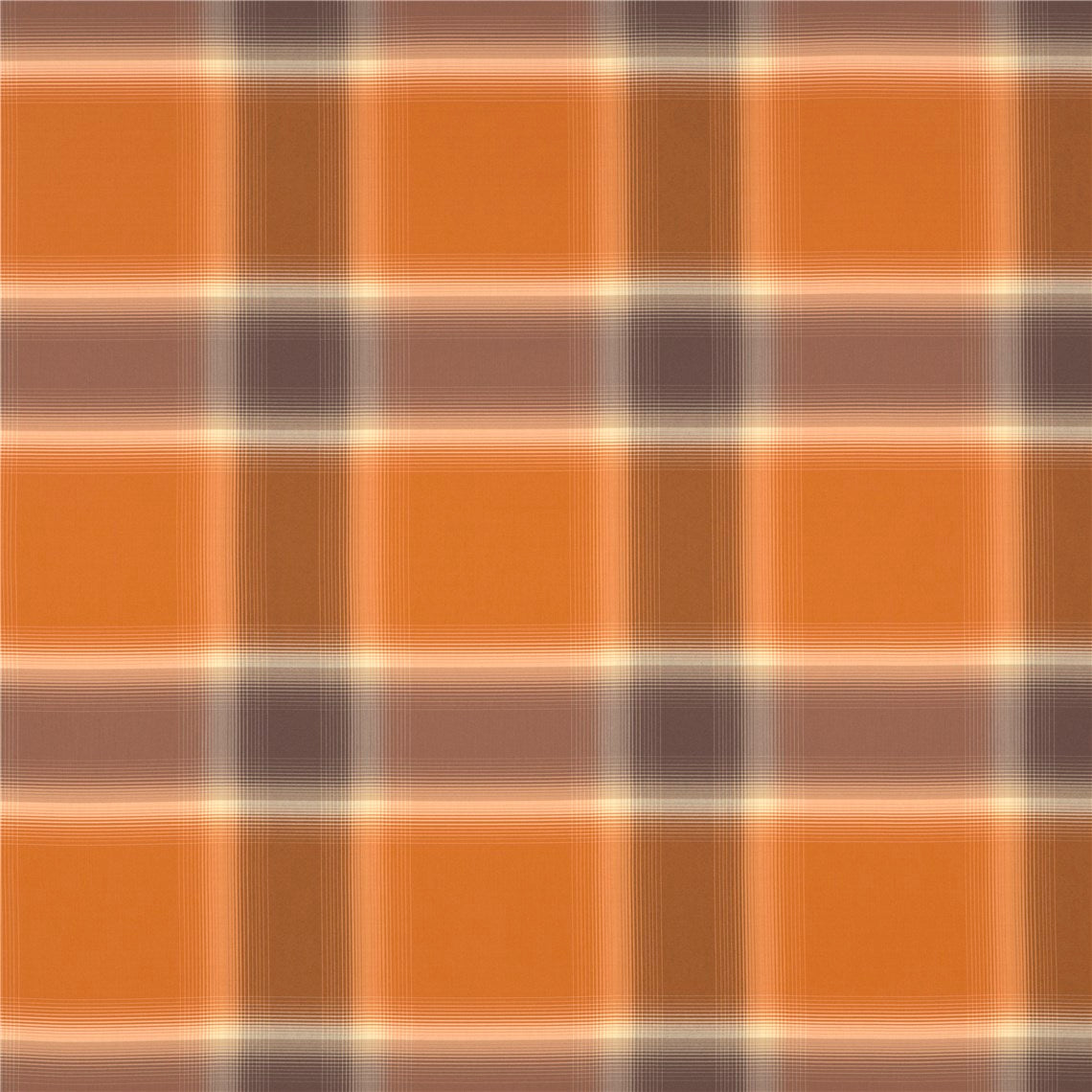 Rx 1001 – Imperial Privacy Systems