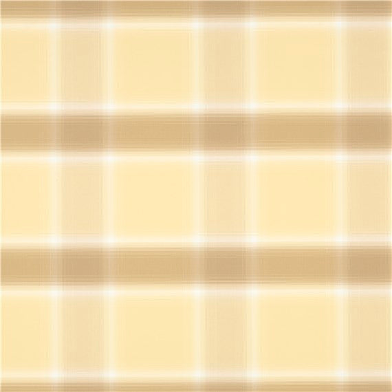 Rx 1001 – Imperial Privacy Systems